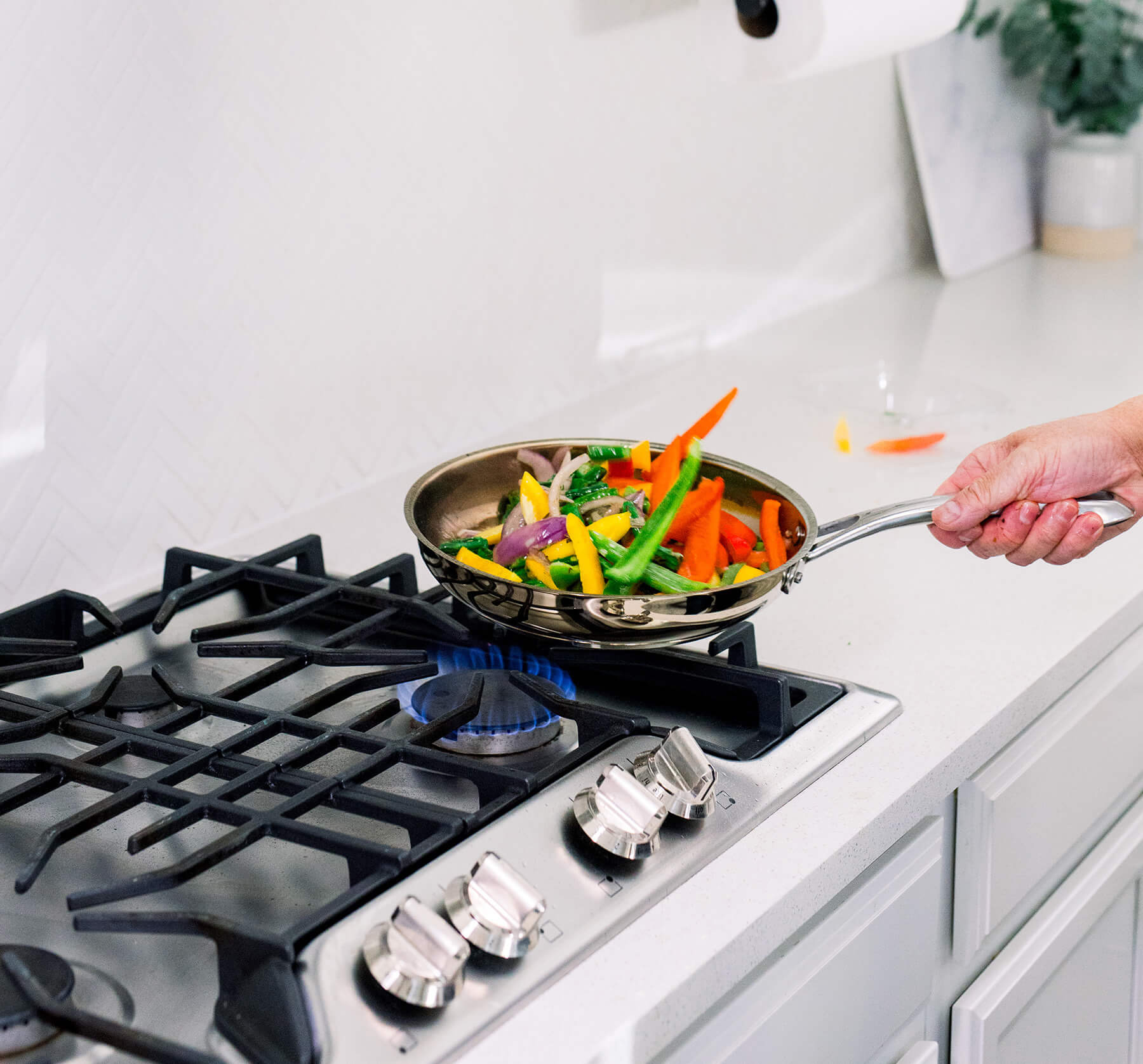 About Us - SNOWFRUIT